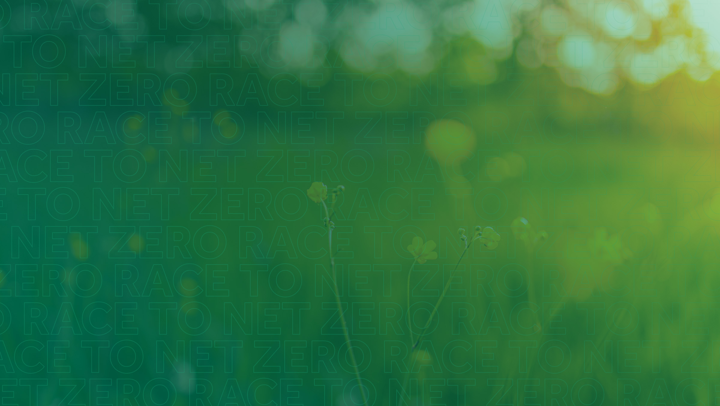 Race to Net-Zero podcast